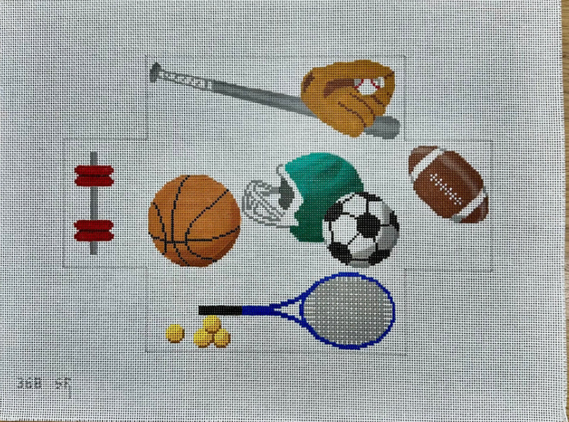 Sports Equipment Brick Cover – Rita's needlepoint